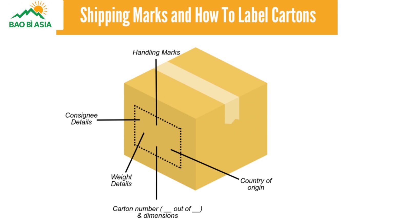 Shipping Mark Là Gì? Những Lưu Ý Khi Dùng Shipping Mark